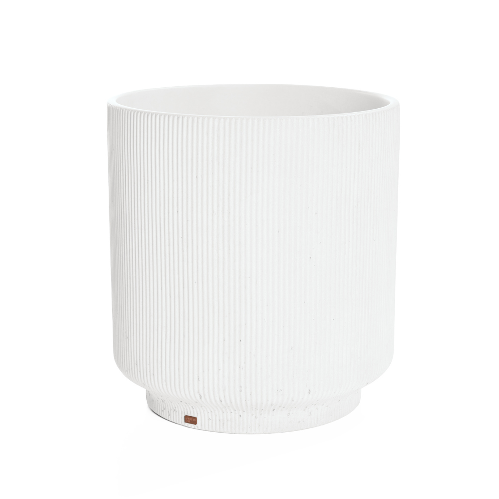 LOTUS 05 BLANCO TULUM – mosagres